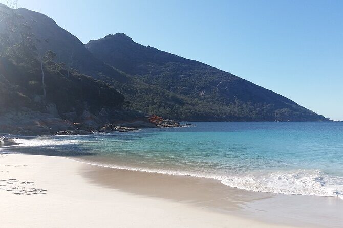 Launceston: Freycinet & Wineglass Bay Explorer Day Trip - Who Will Love This Tour?