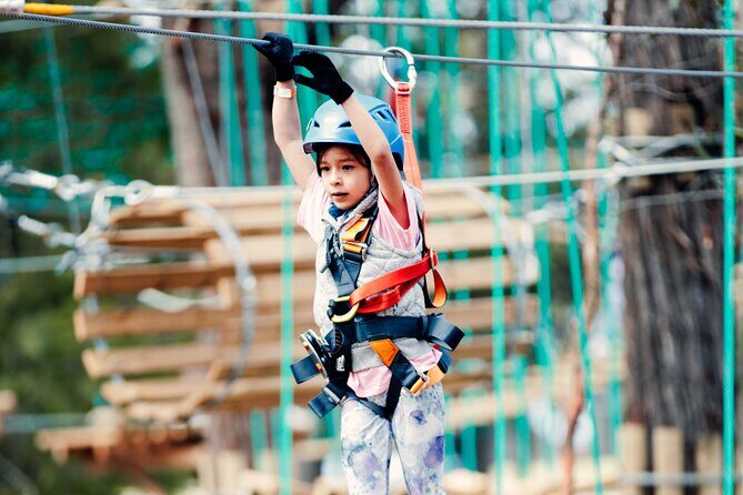 Launceston Hollybank Junior Tree Ropes Course - Who Is This Tour Best For?