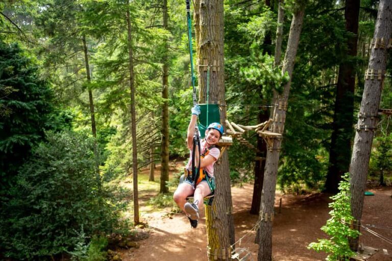 Launceston: Hollybank Tree Ropes Course - Overview and Location