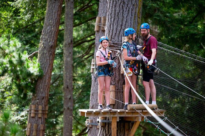 Launceston Hollybank Tree Ropes Experience - Why This Experience Is Worth Considering