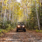 Laurentians: guided buggy tour - The Practicalities and Value of the Tour