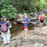 Lautoka CruiseShip Port to Abaca Waterfall Hiking Round Trip - A Deep Dive into the Experience