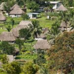 Lautoka Orchids & Village Life: Private Shore Tour 4 Hours - Who Should Consider This Tour?