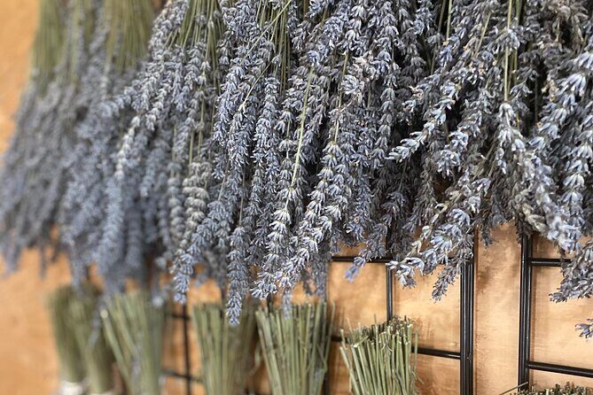 Lavender Farm Experience with Local Lunch, Day Trip from Toronto - The Itinerary: What to Expect