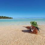 Lawai Pottery Village & Natadola Beach Kava Ceremony & Meke - What We Loved and What to Consider