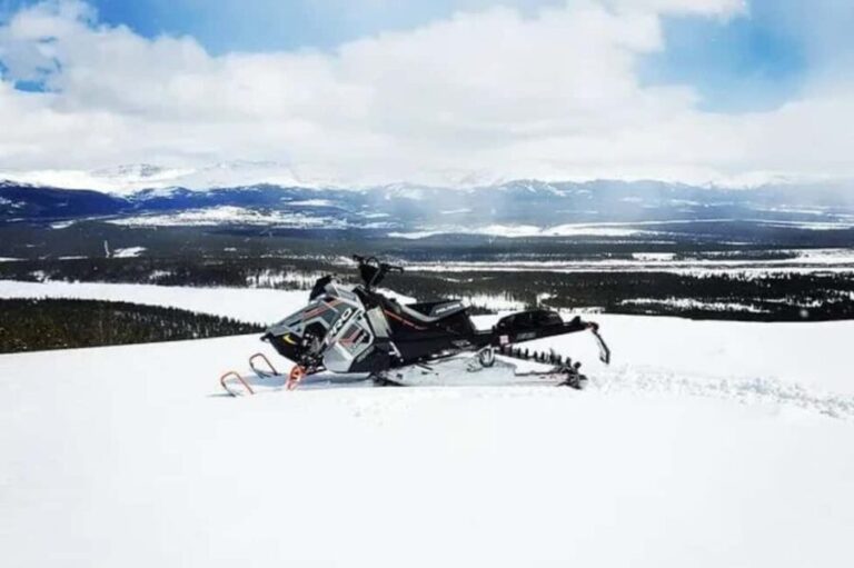 Leadville: Guided Snowmobile High Adventure Tour - What to Expect From This Tour