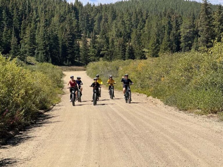Leadville: Route of the Silver Kings Guided E-Bike Tour - The Practicalities: What You Need to Know