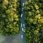 Learn Paddle Board and Explore the Mangroves of Progreso - Who Is This Tour Best For?