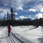 Learn to Cross Country Ski in Lake Louise - Who Will Love This Tour?