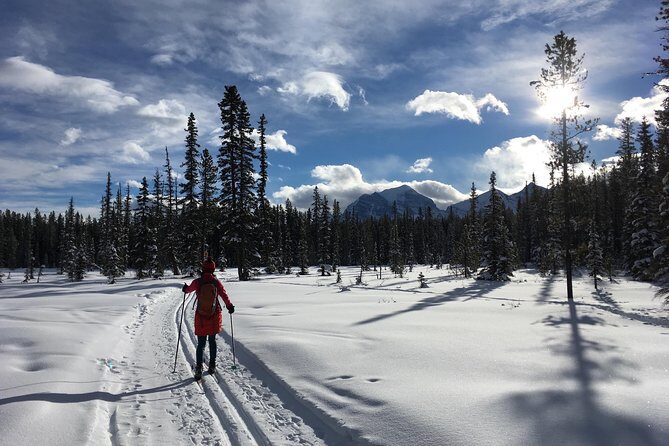 Learn to Cross Country Ski in Lake Louise - Who Will Love This Tour?
