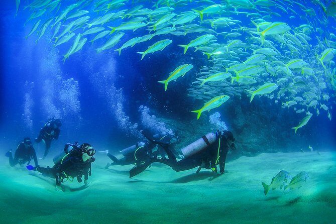 Learn to Scuba Dive in Cabo San Lucas with PADI - Practical Details: What’s Included and What’s Extra