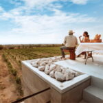 León: Wine Tour at Viñedo Leones & City Center Exploration - Practical Details & What to Expect