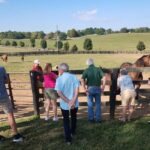 Lexington: Thoroughbred Horse Farm Tour and Scenic Bluegrass - FAQ
