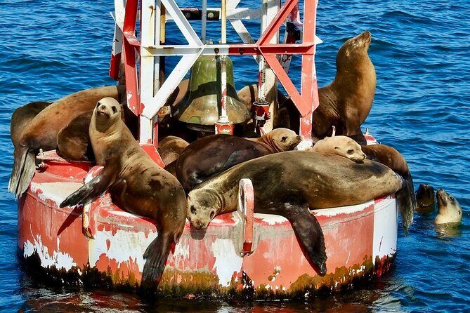 Lil Toot Santa Barbara Private Boat Tour - The Itinerary in Detail: What You Can Expect