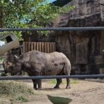 Lincoln Park Nature Museum and Zoo Public Walking Tour - What Makes This Tour Stand Out?