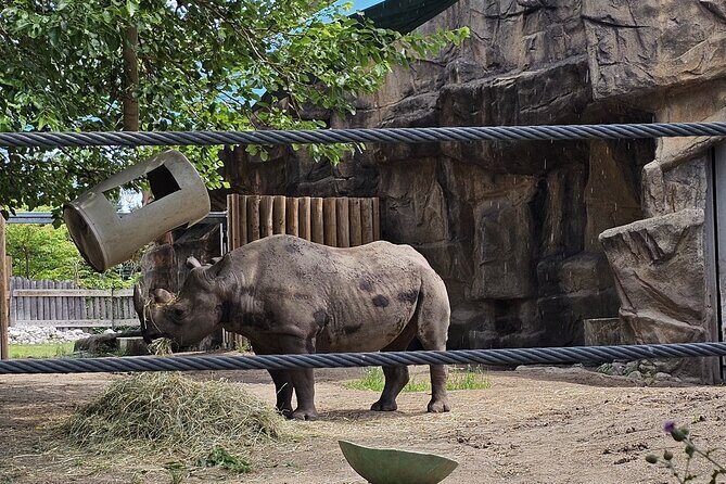 Lincoln Park Nature Museum and Zoo Public Walking Tour - What Makes This Tour Stand Out?
