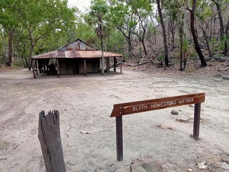 Litchfield 2 Day Tour. NT Top Adventures - Private Tour - What Makes This Tour Special?