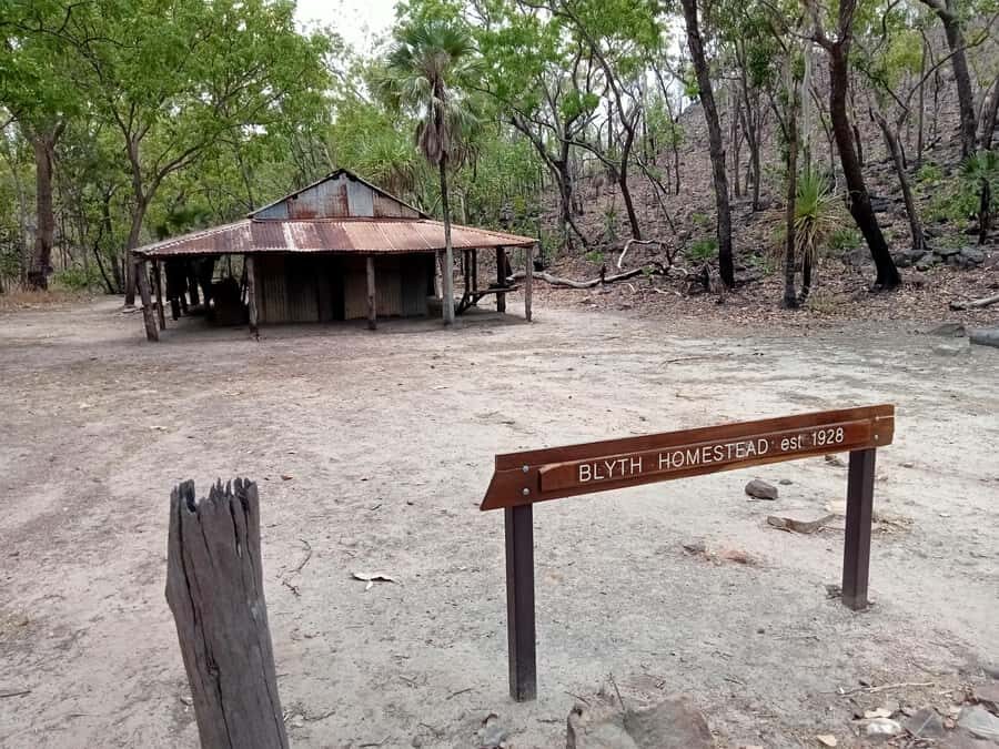Litchfield 2 Day Tour. NT Top Adventures - Private Tour - What Makes This Tour Special?