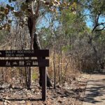 Litchfield & Berry Springs VIP Adventure Day Tours (group of 11) - Transport, Group Size, & Timing