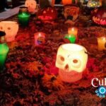 Live Noche de Muertos at Xochimilco: Dinner and local beers - The Trajinera Experience: Navigating the Canals