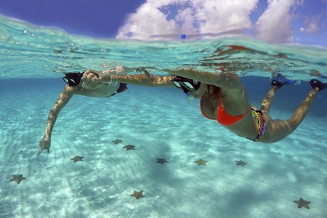 Live this unique snorkeling experience. El Cielo in Cozumel a magical tour. - What to Expect from the Tour