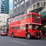 London Routemaster Double Decker Auckland Discovery - The Itinerary: A Scenic Tapestry of Auckland