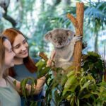 Lone Pine Koala Sanctuary Day Pass - Final Thoughts