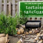 Long Island Farm & Vanderbilt Planetarium Tour | Kids 50% Off - Practical Insights: What to Expect and Tips for a Smooth Day