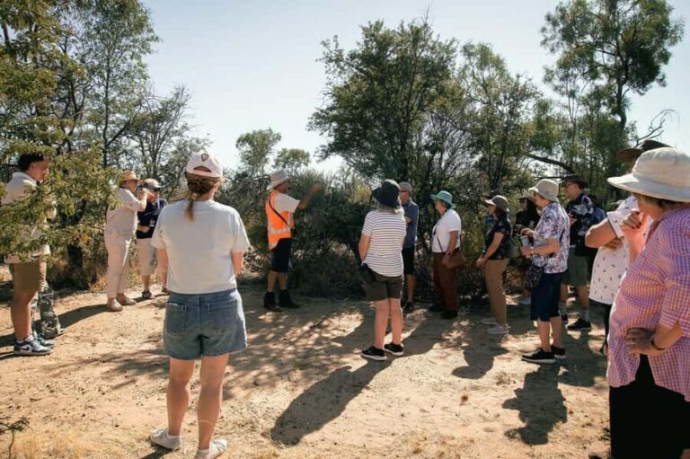 Longreach: Great Darr River Rail Run Outback Rail Adventure - The Itinerary Breakdown