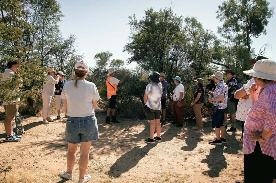 Longreach: Great Darr River Rail Run Outback Rail Adventure - The Itinerary Breakdown