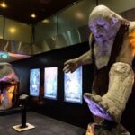 Lord of the Rings : 2-Day Private Tour from Auckland - Final Thoughts