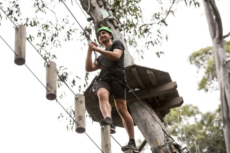Lorne: Live Wire Park Super Circuit Ticket - The Itinerary and Activities