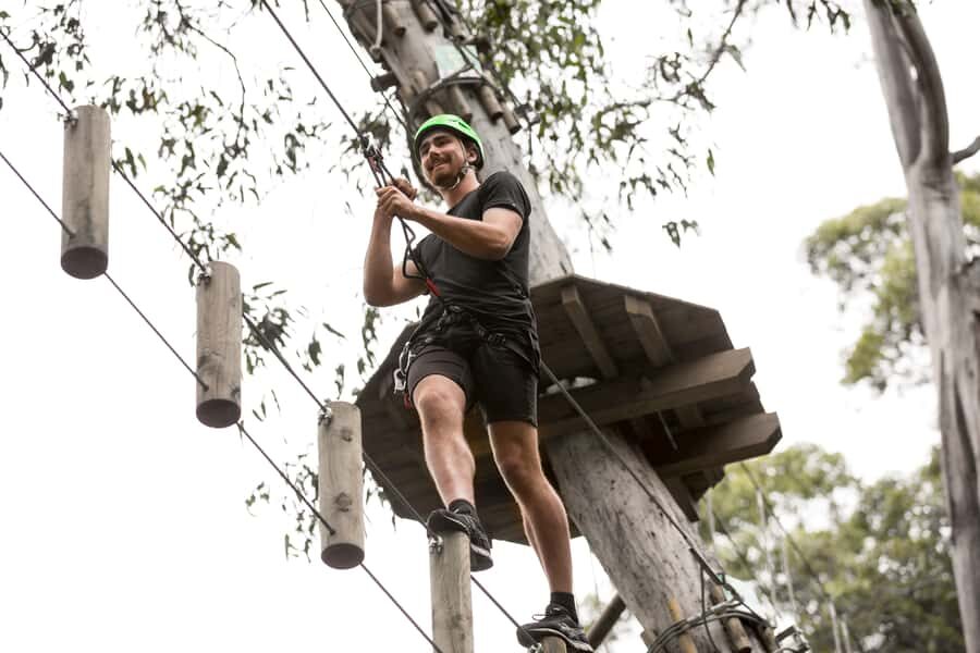 Lorne: Live Wire Park Super Circuit Ticket - The Itinerary and Activities