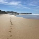 Los Angeles: 2-Day Private Surf Tour with Lunch - Transportation and Group Size