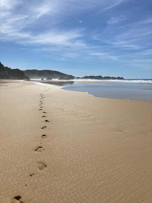 Los Angeles: 2-Day Private Surf Tour with Lunch - Transportation and Group Size