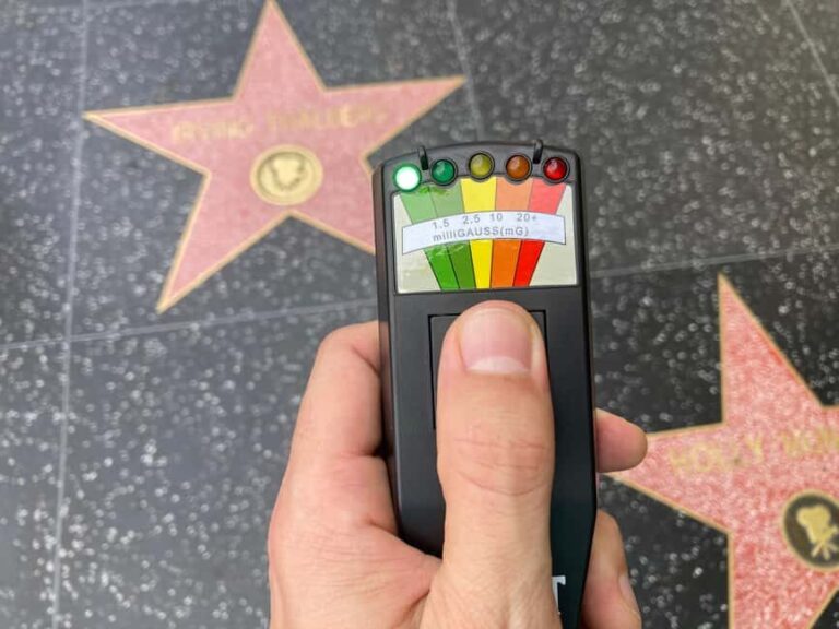 Los Angeles: Hollywood Rock 'n' Roll Ghost Tour - A Detailed Look at the Hollywood Rock n Roll Ghost Tour