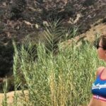 Los Angeles: Private Half Day City Tour - What to Expect from the Experience