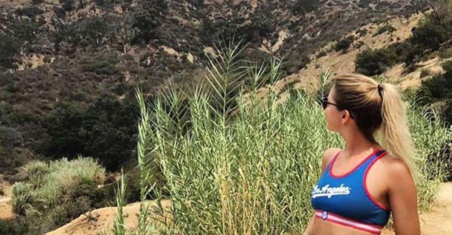 Los Angeles: Private Half Day City Tour - What to Expect from the Experience