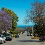 Los Angeles - Santa Barbara: Premium Chauffeur Transfer - Key Points