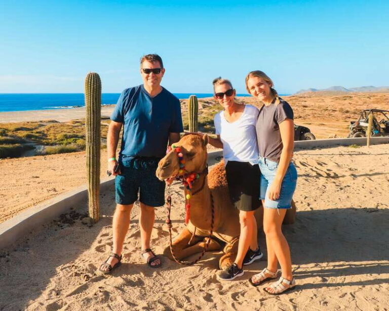 Los Cabos: 2 in 1 Combo Tour - Key Points