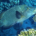 Los Cabos: 3-Hour Introductory Scuba Diving Adventure - What Makes the Locations Special