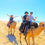 Los Cabos 3 in 1 Adventure: Camel Ride, Lunch and Arch Boat Tour - The Realities of the Experience: Insights from Reviews