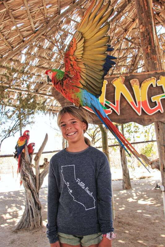 Los Cabos: Animal Encounter & Aqua Park Adventure - A Closer Look at the Experience