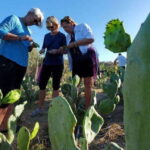 Los Cabos: Azteca Cactus Taco Farm to Table Cooking Class - A Deep Dive into the Experience