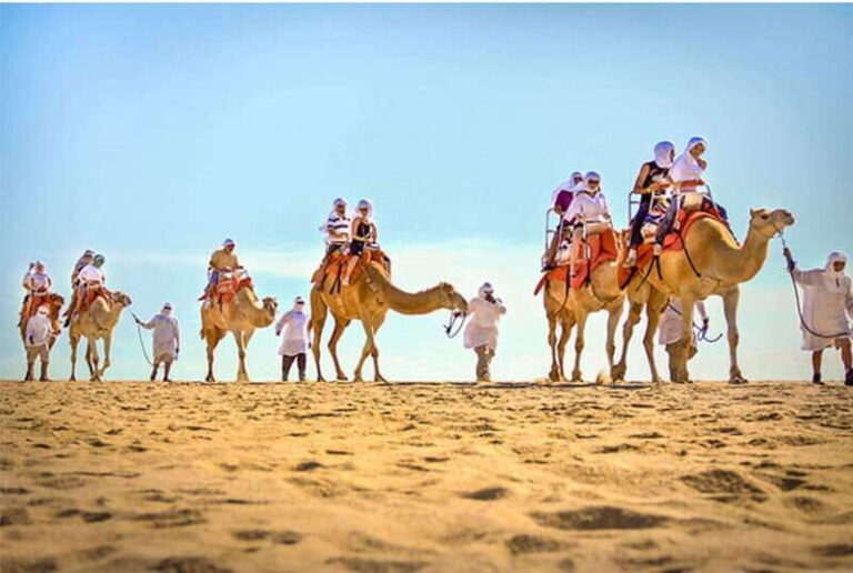 Los Cabos: Desert & Sea Camel Safari Tour with Lunch - The Authentic Mexican Experience and Flexible Itinerary
