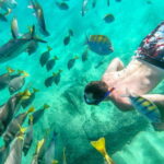 Los Cabos: El Arco, Chileno Beach, and Tequila Tasting Tour - Why This Tour Works for Travelers