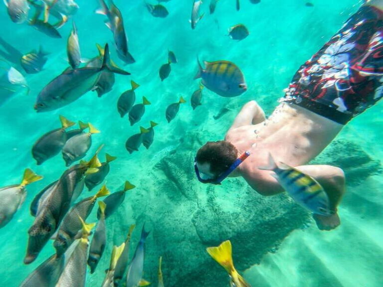 Los Cabos: El Arco, Chileno Beach, and Tequila Tasting Tour - Why This Tour Works for Travelers