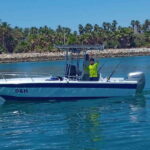 Los Cabos: Fishing Experience - What Makes This Tour Stand Out?