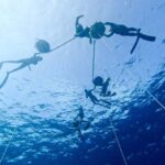 Los Cabos: freediving sessions - Practical Tips for Booking and Preparing