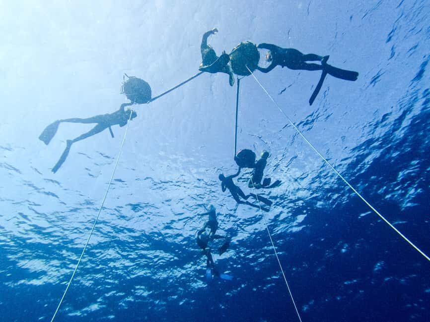 Los Cabos: freediving sessions - Practical Tips for Booking and Preparing